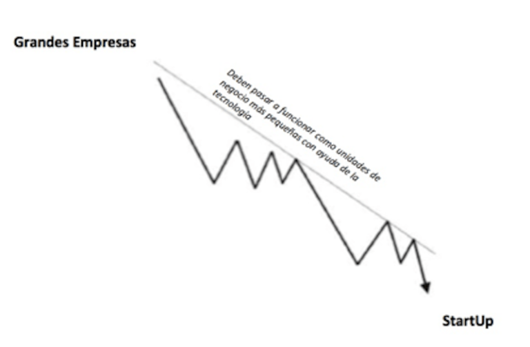 Qué es la Holocracia, Sus Ventajas y Por Qué las Empresas Deben Usarla